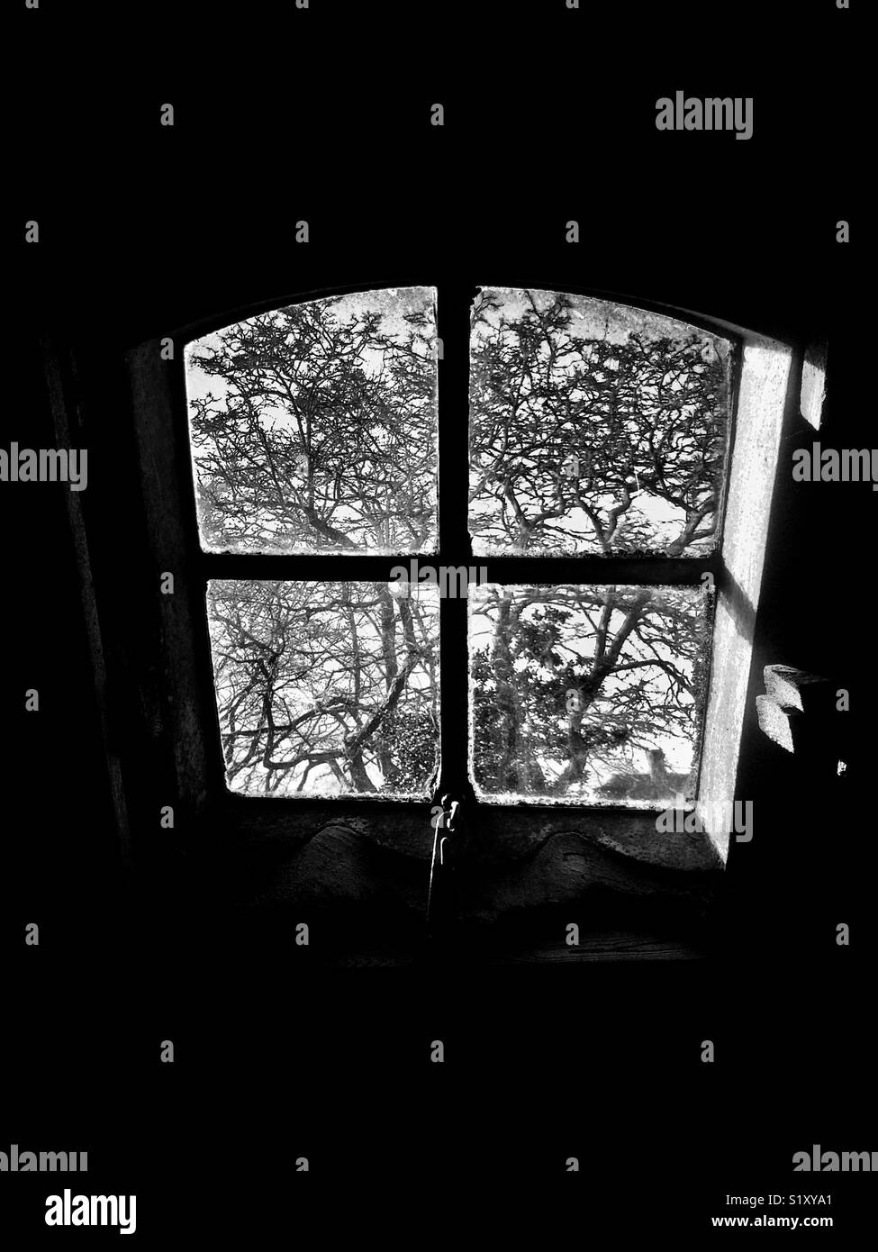 4 square window hi-res stock photography and images - Alamy