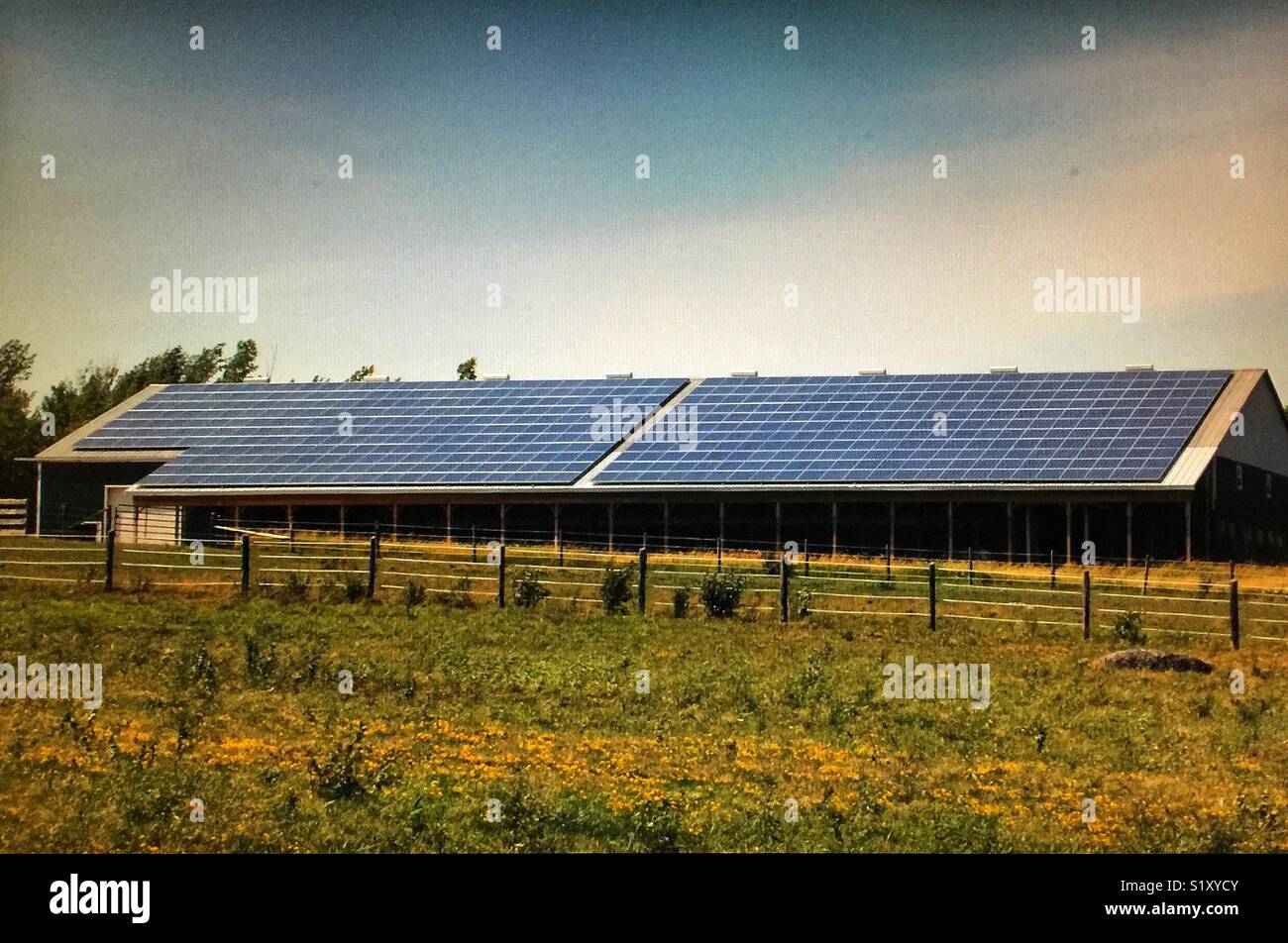 Solar panels farm Stock Photo - Alamy
