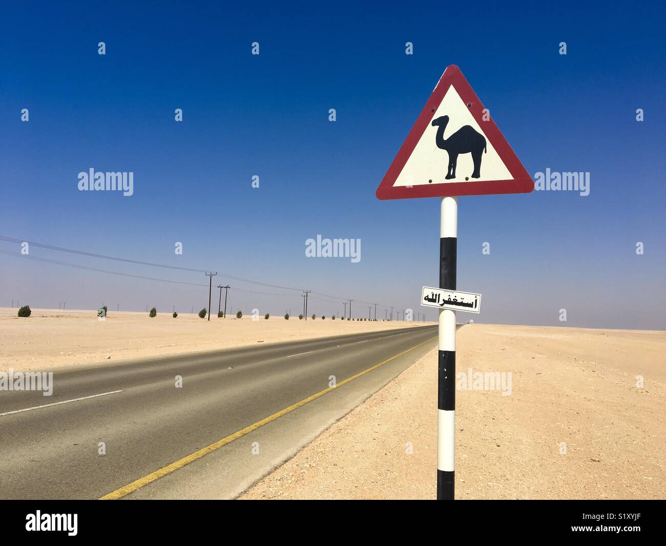 Camel crossing sign hi-res stock photography and images - Alamy