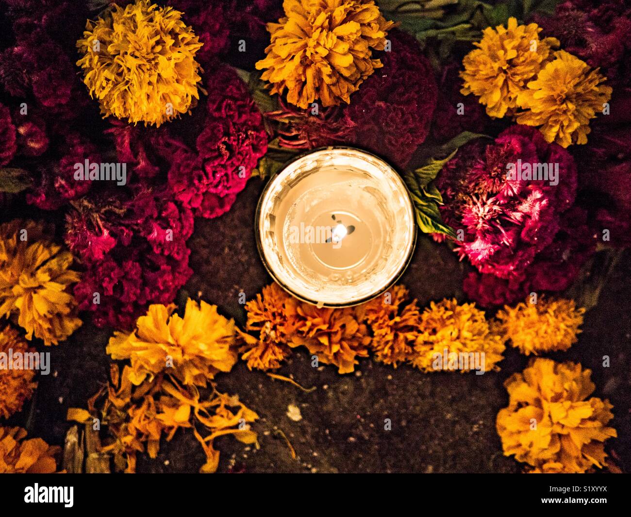 Marigolds day of the dead hi-res stock photography and images - Alamy