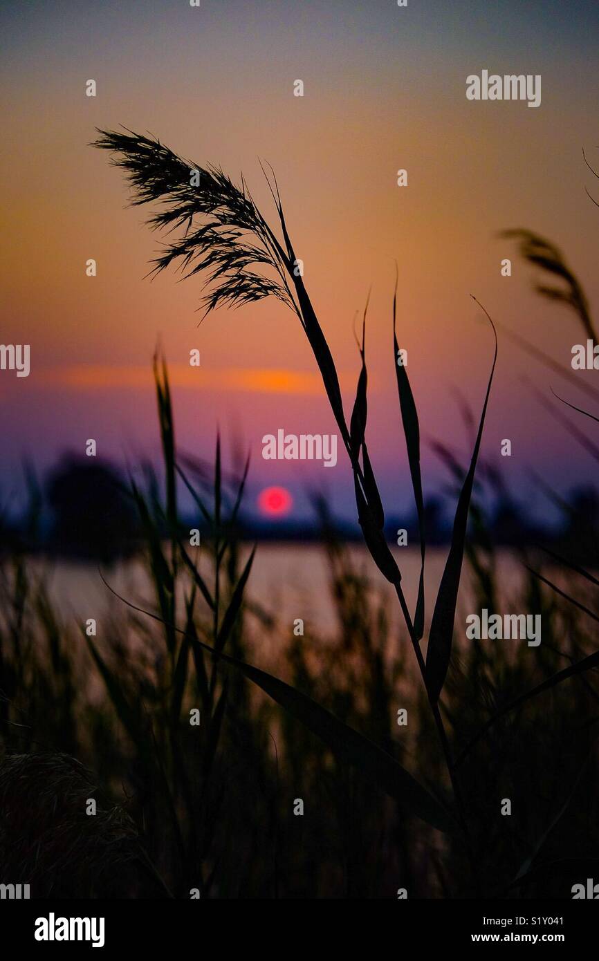 We love our earth hi-res stock photography and images - Alamy