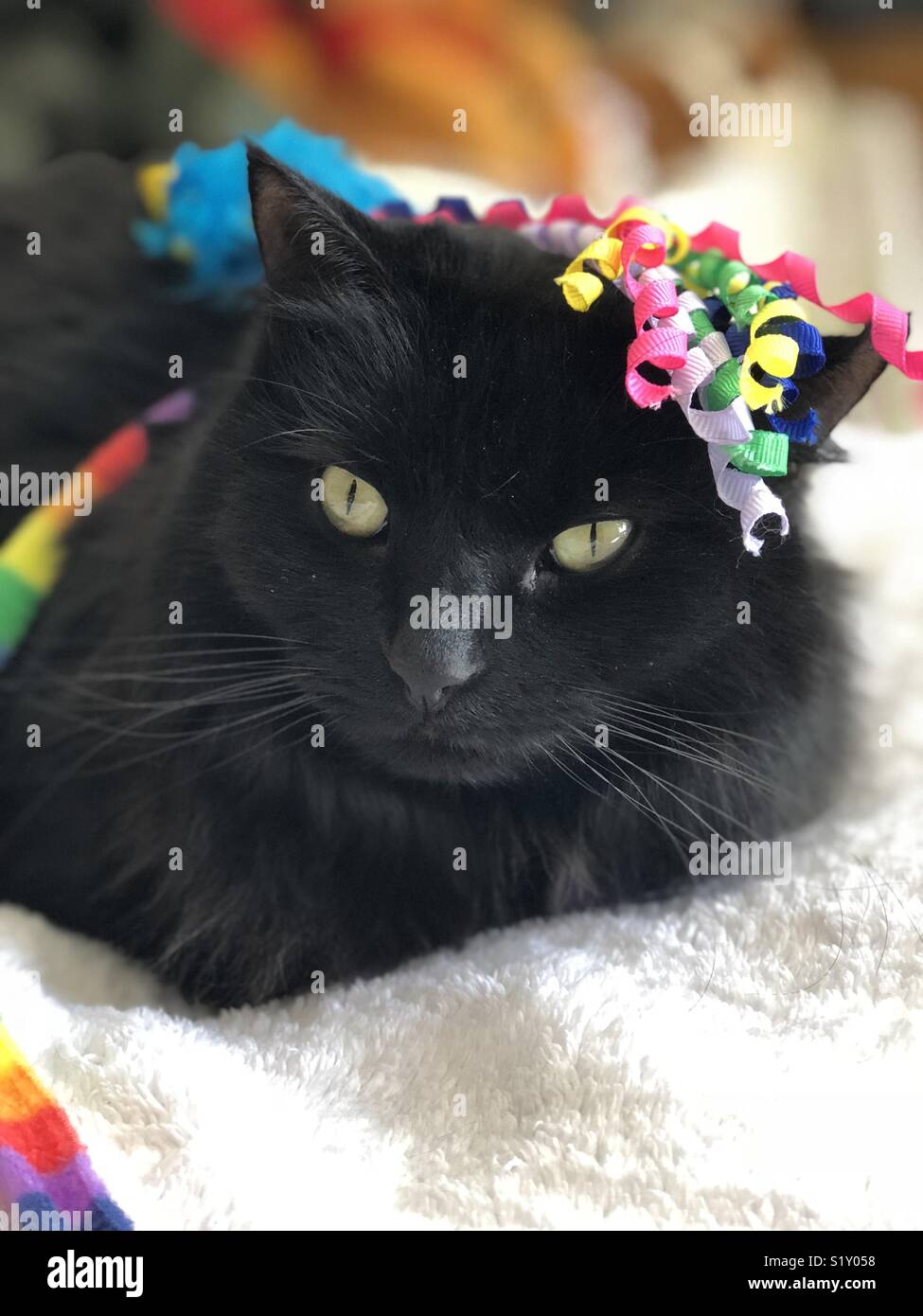 Hazel Rain being pretty Stock Photo - Alamy