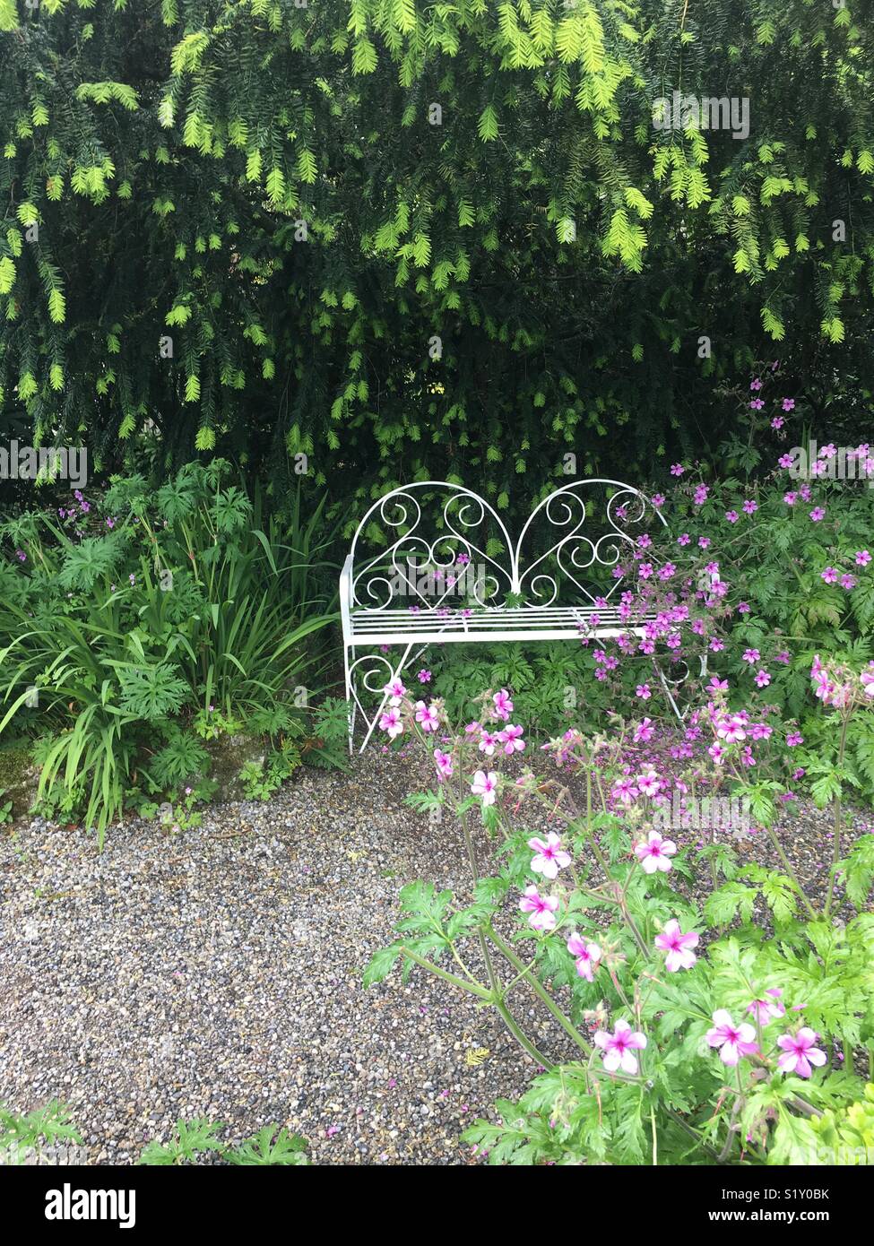 Secluded garden hi-res stock photography and images - Alamy