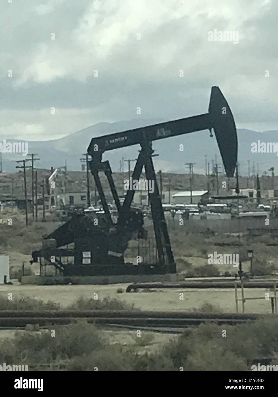 One of many Stock Photo - Alamy