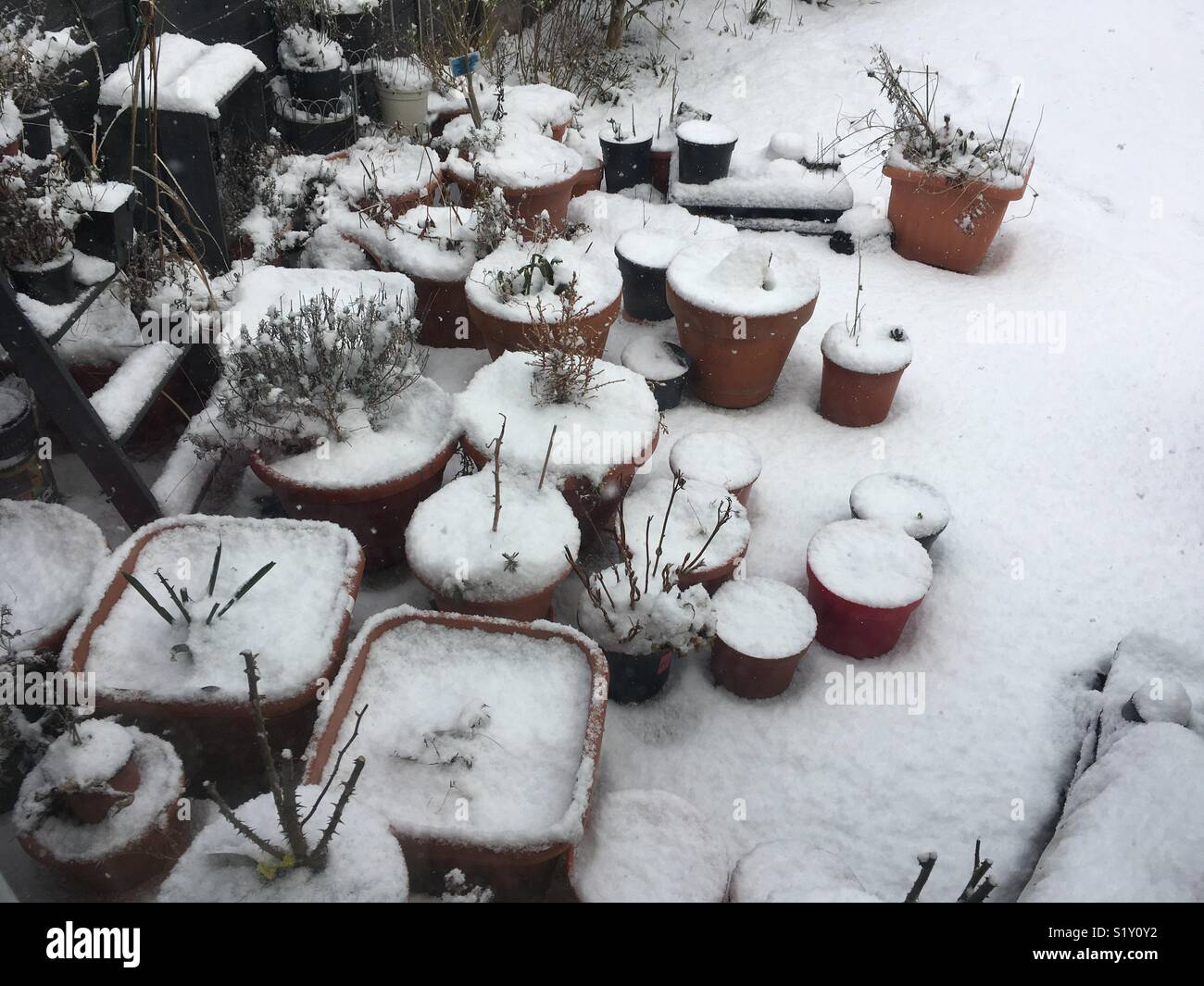 Ladder in snow hi-res stock photography and images - Alamy