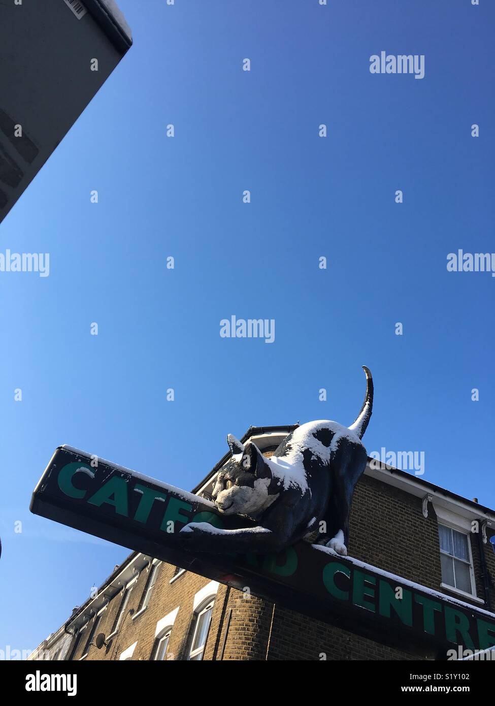 Catford cat hi-res stock photography and images - Alamy