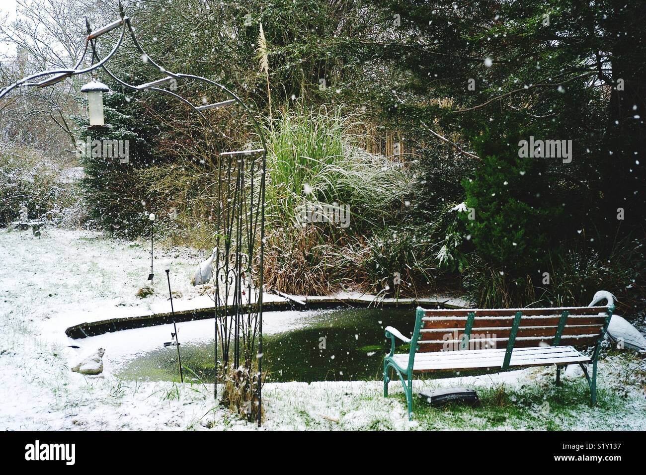 Garden pond frozen hi-res stock photography and images - Alamy