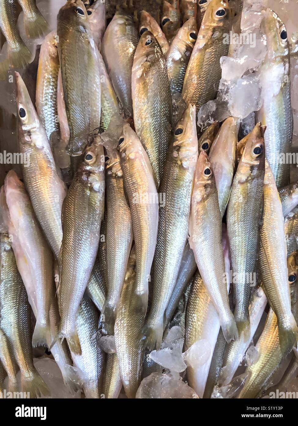 What Is The Definition Of Bunch Up at Dorothy Logan blog