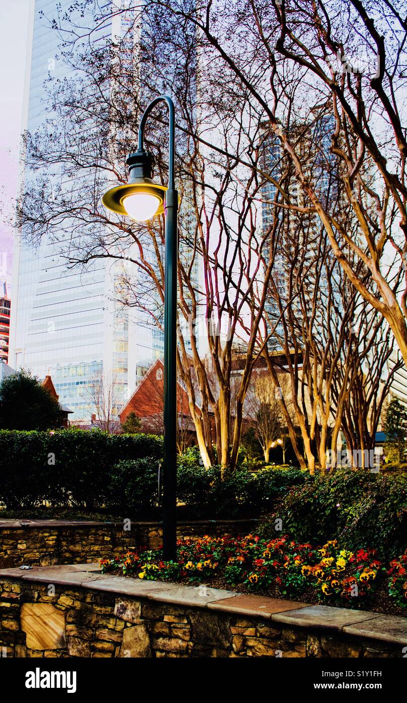 Light post in Charlotte Stock Photo - Alamy