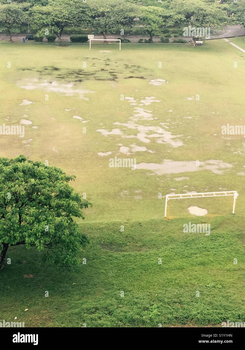 Football field after the rain Stock Photo - Alamy