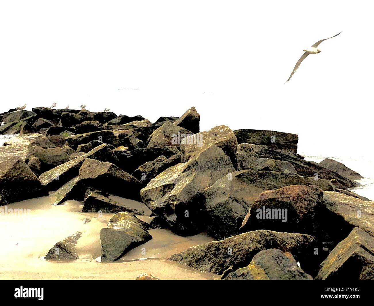 The solo flight Stock Photo - Alamy