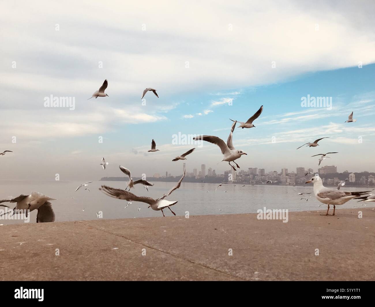 Go higher hi-res stock photography and images - Alamy