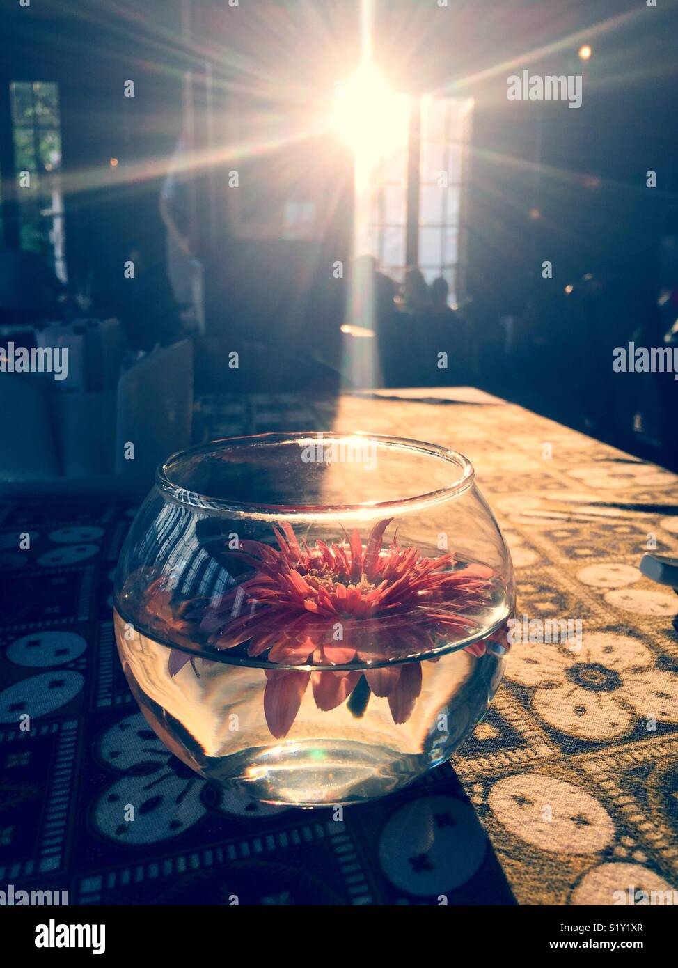 Sun ray through the window Stock Photo - Alamy
