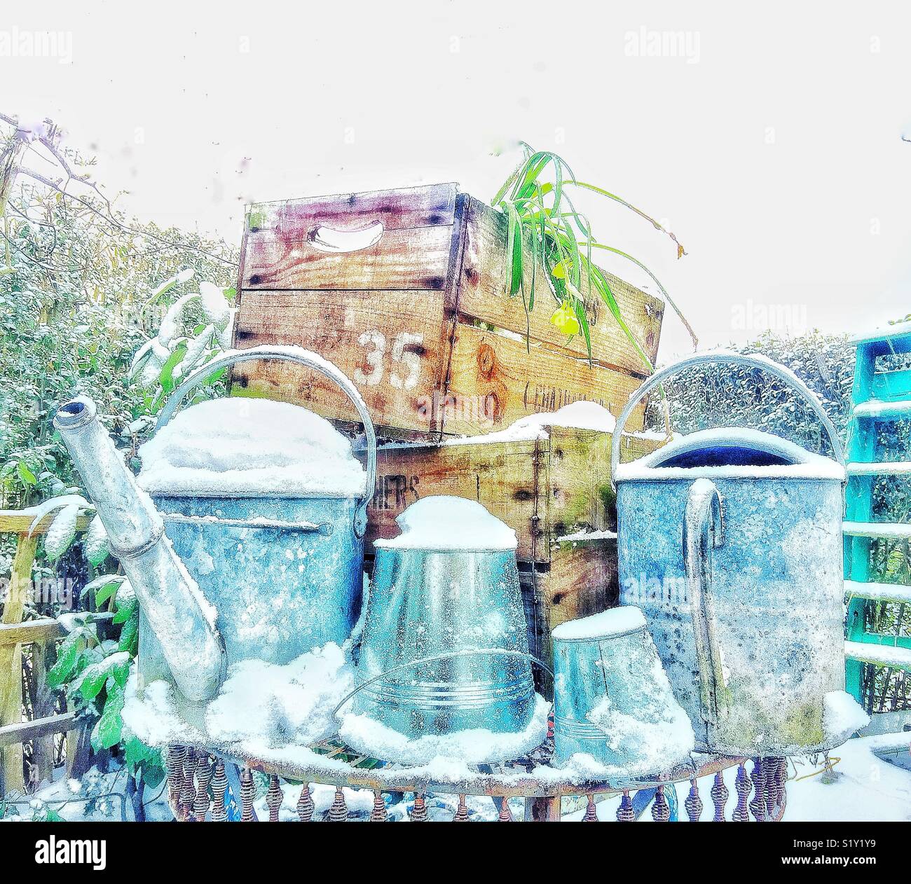 Snow covered garden pots Stock Photo - Alamy