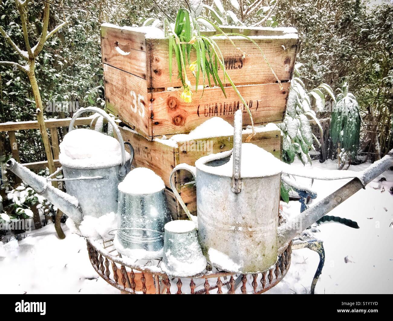 Snow covered garden pots Stock Photo - Alamy