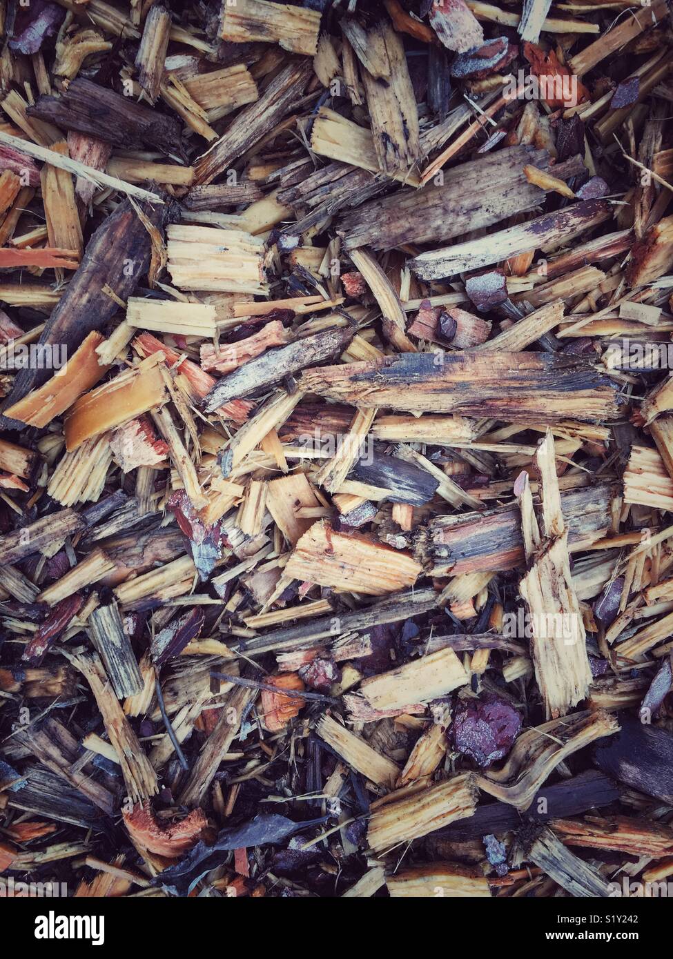 Wood chips on floor hi-res stock photography and images - Alamy