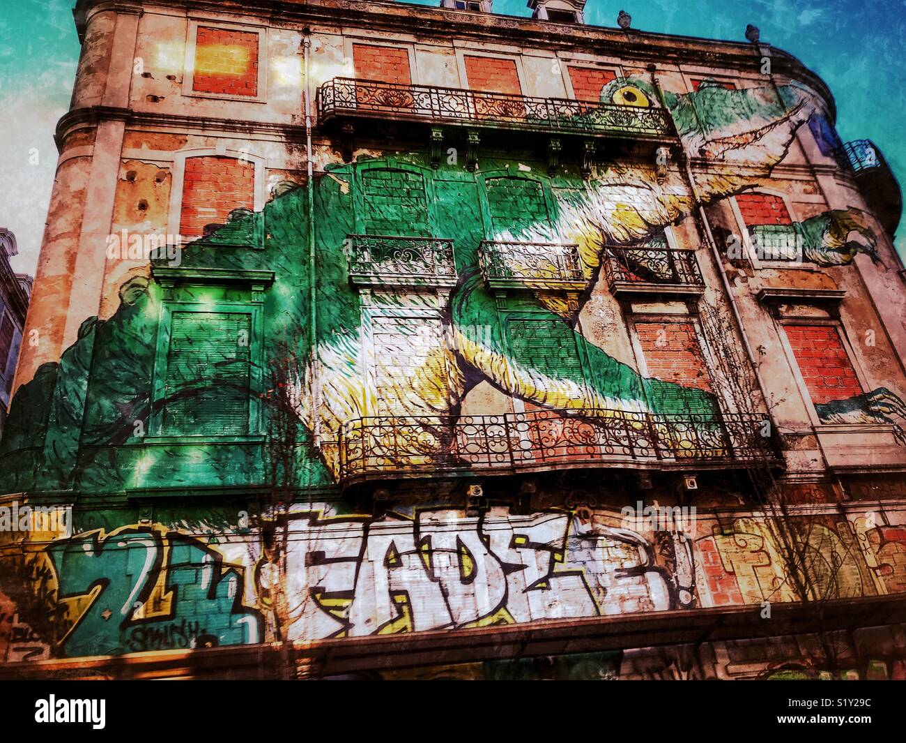 It’s not often you get to see a massive crocodile/alligator climbing up ...