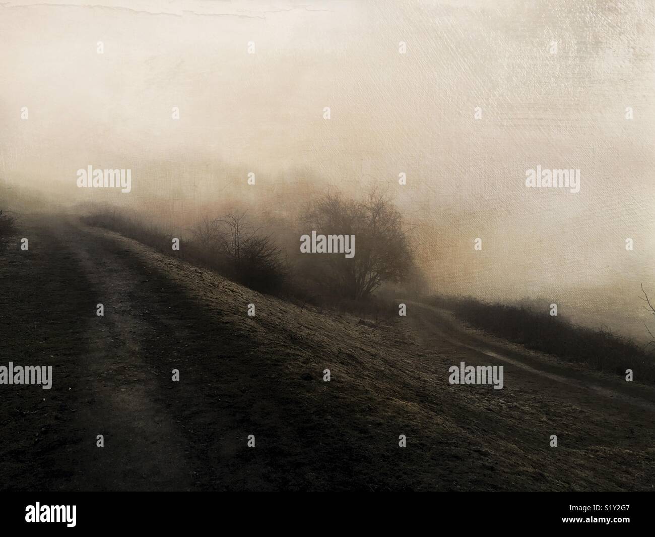 Foggy morning in the countryside Stock Photo - Alamy