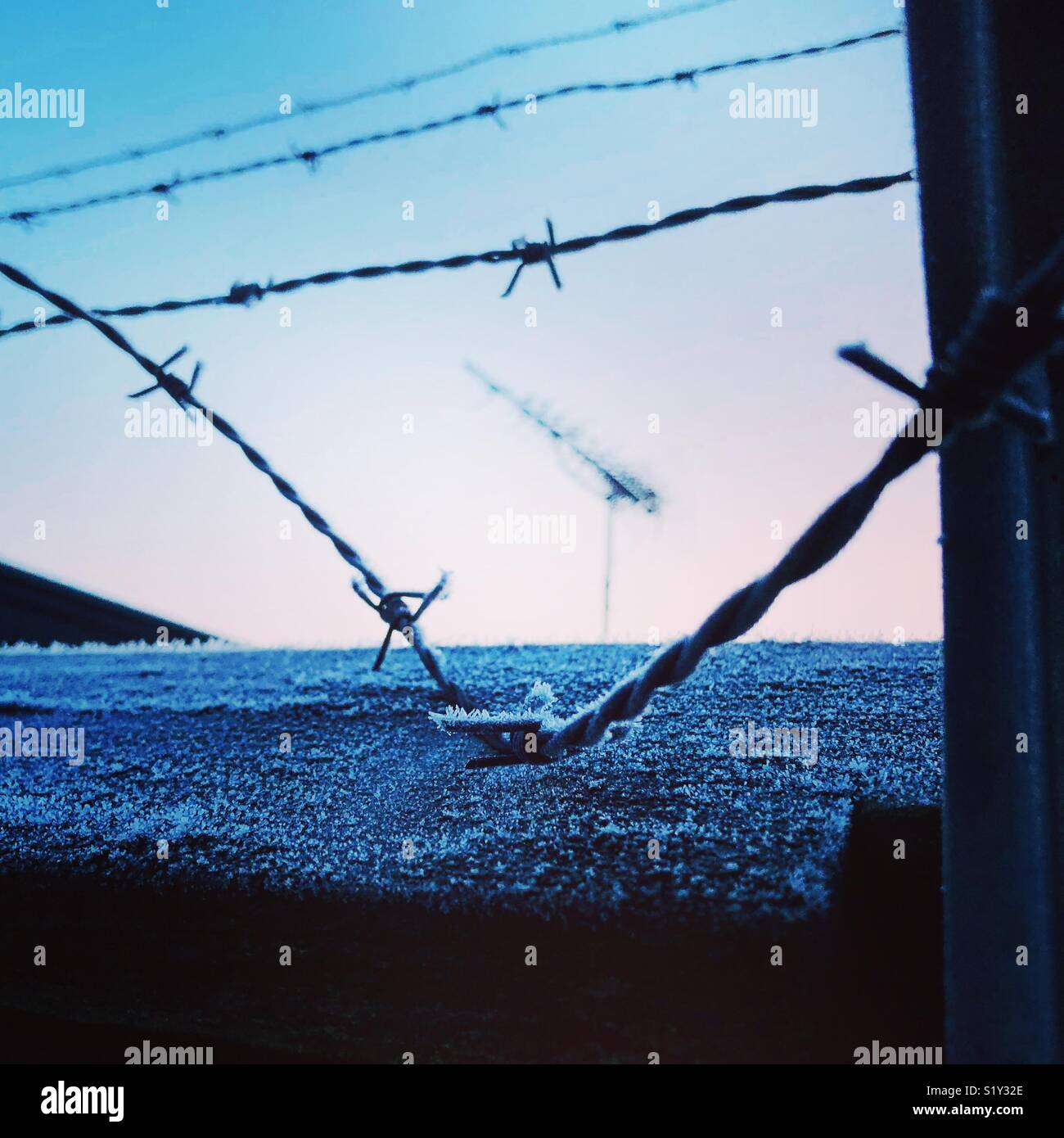 Frozen Wire High Resolution Stock Photography and Images - Alamy
