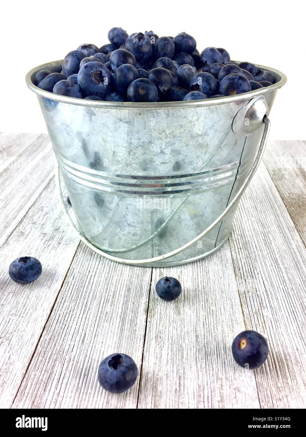 Metal pail full of blueberries Stock Photo - Alamy