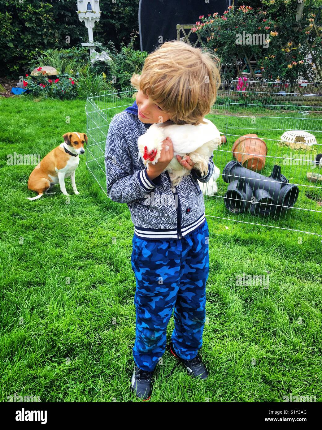 Boy farm dog hi-res stock photography and images - Alamy