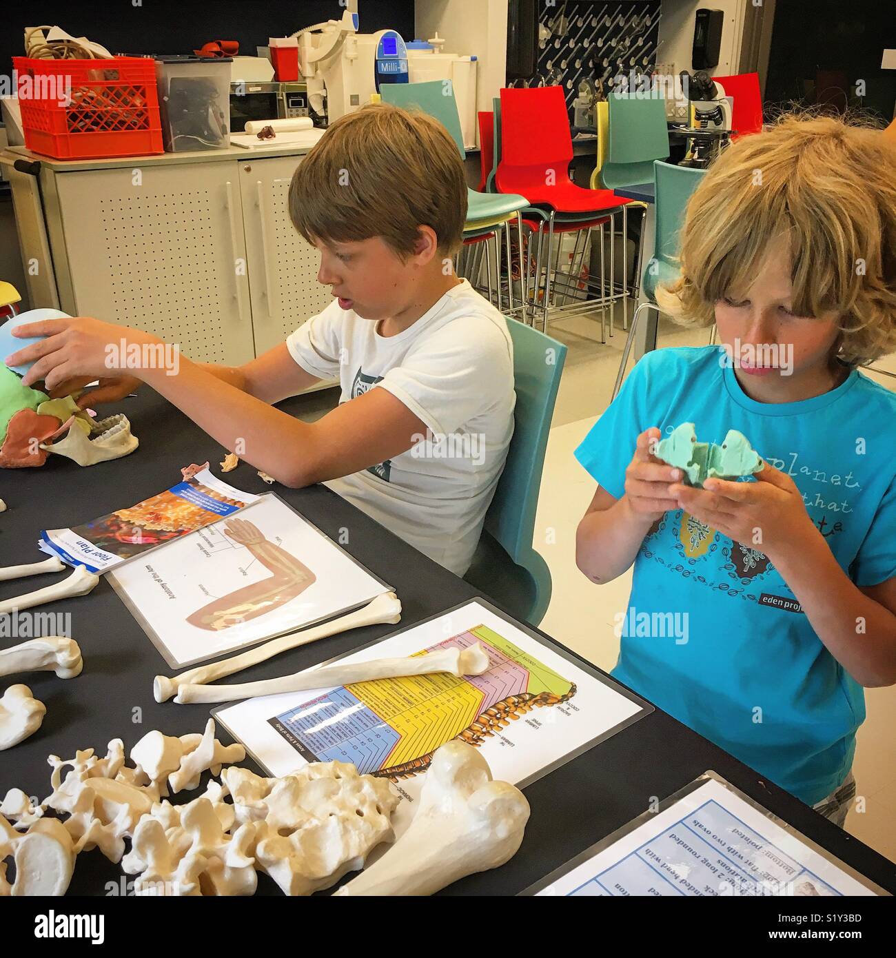 Lab children hi-res stock photography and images - Alamy