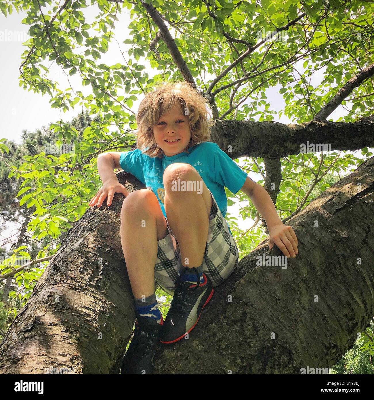 Child on a tree hi-res stock photography and images - Alamy