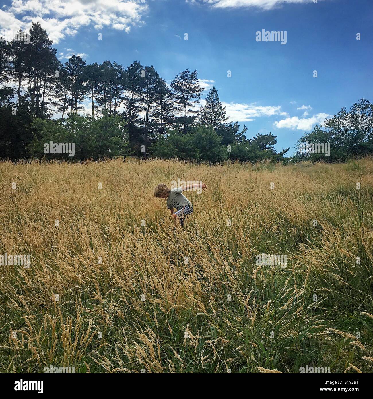 Boy running in the field in summer Stock Photo - Alamy