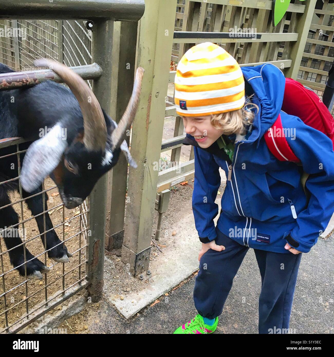 Child and goat hi-res stock photography and images - Alamy