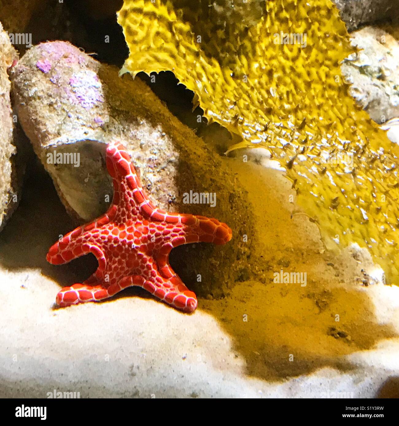 Sitting under the water hi-res stock photography and images - Alamy