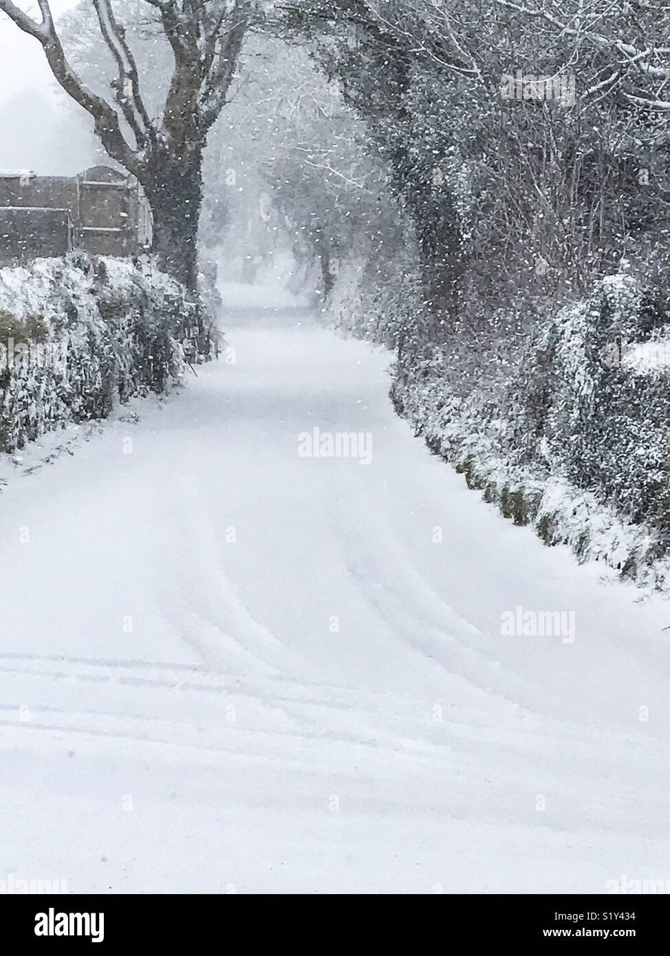 Cornwall lane snow hi-res stock photography and images - Alamy