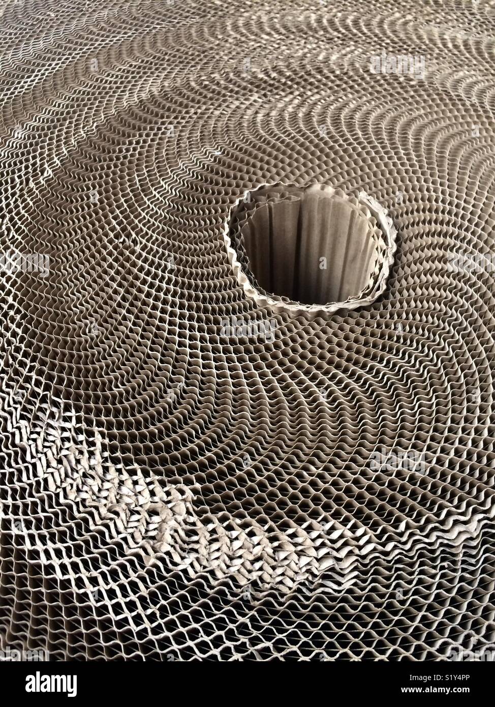 Corrugated cardboard roll Stock Photo - Alamy