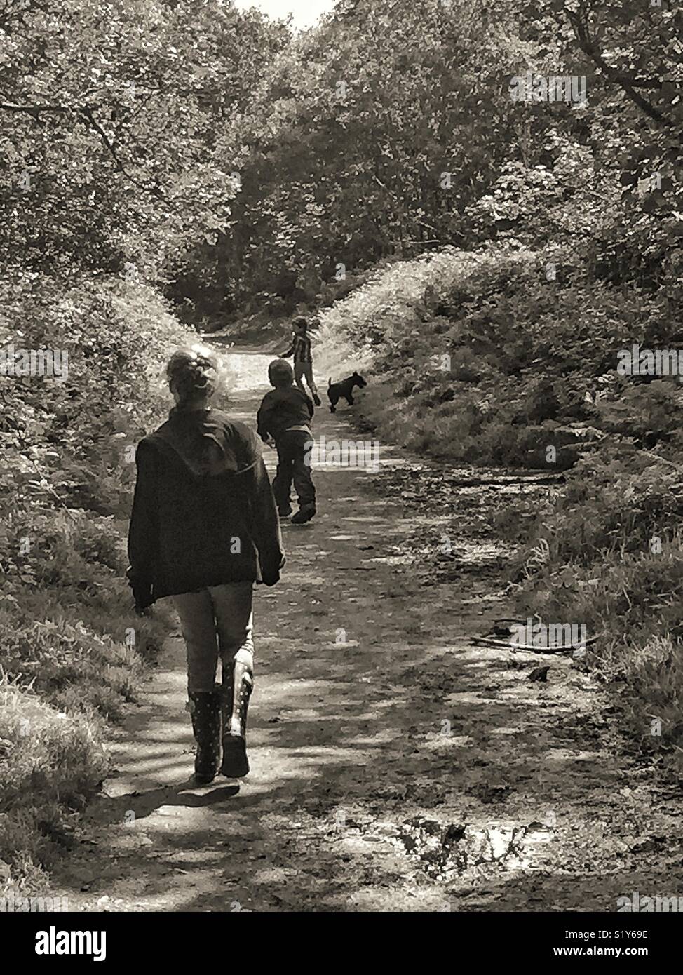 Walking with friends hi-res stock photography and images - Alamy
