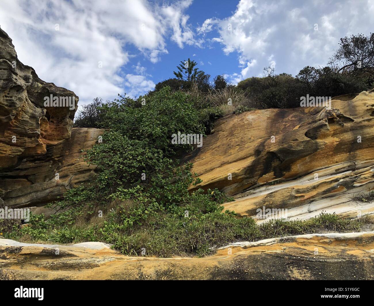 Cliffs in Sydney Stock Photo - Alamy