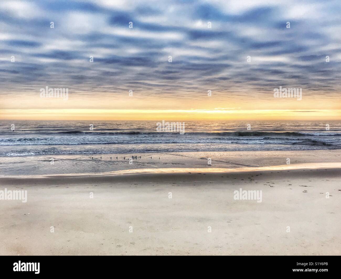 Sunrise grove hi-res stock photography and images - Alamy