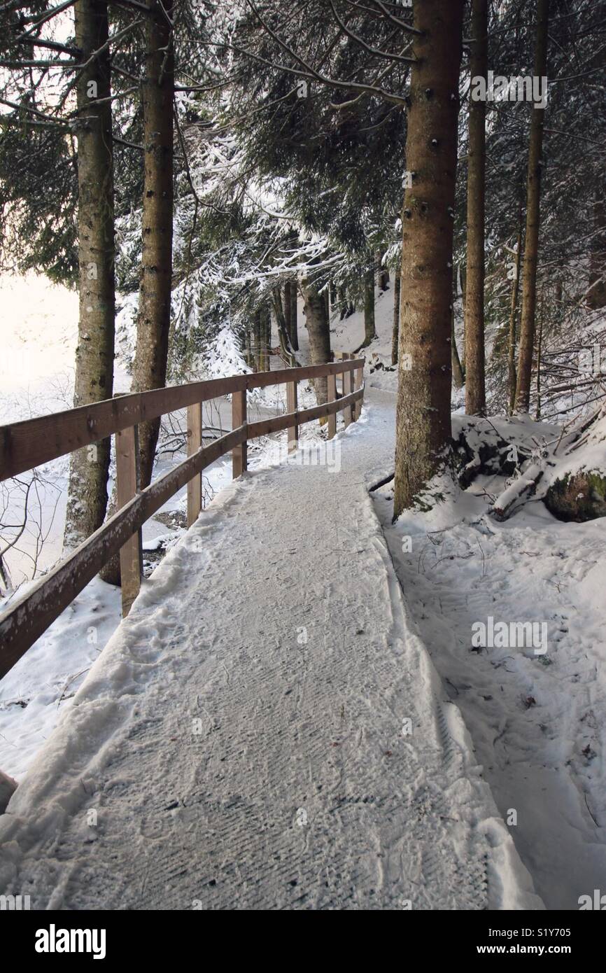 Beautiful walk at the lake hi-res stock photography and images - Alamy
