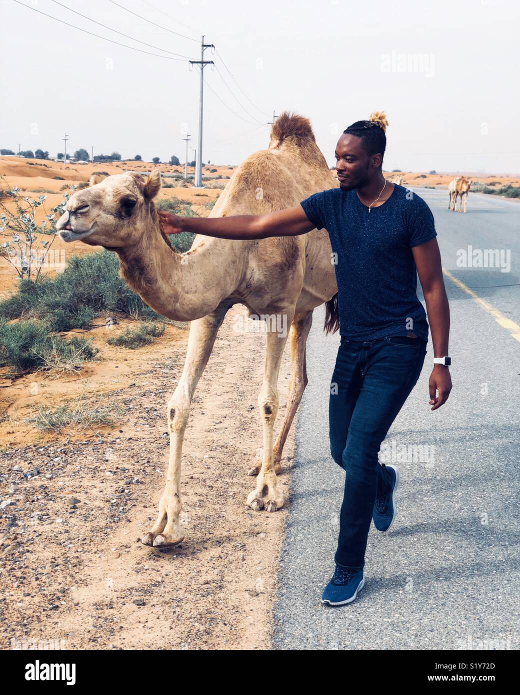 Camel model hi-res stock photography and images - Alamy