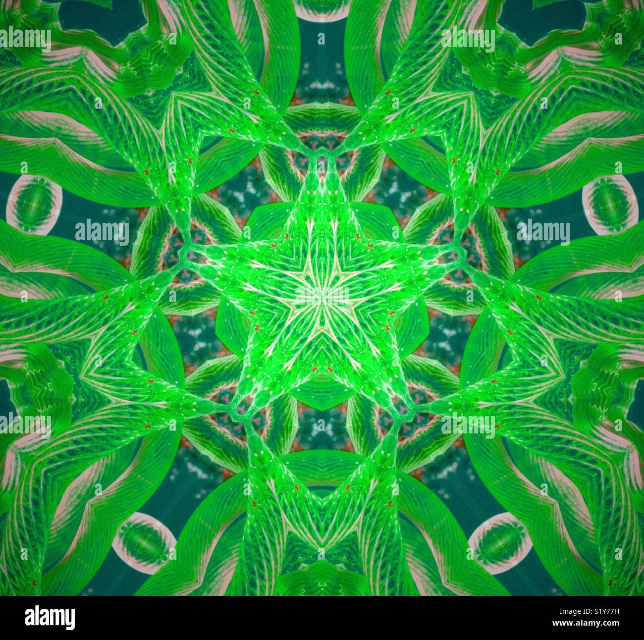 Stars design hi-res stock photography and images - Alamy