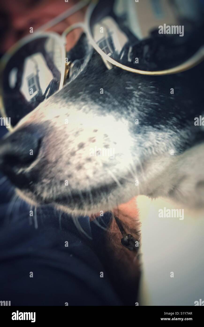 Snoop dog hi-res stock photography and images - Alamy