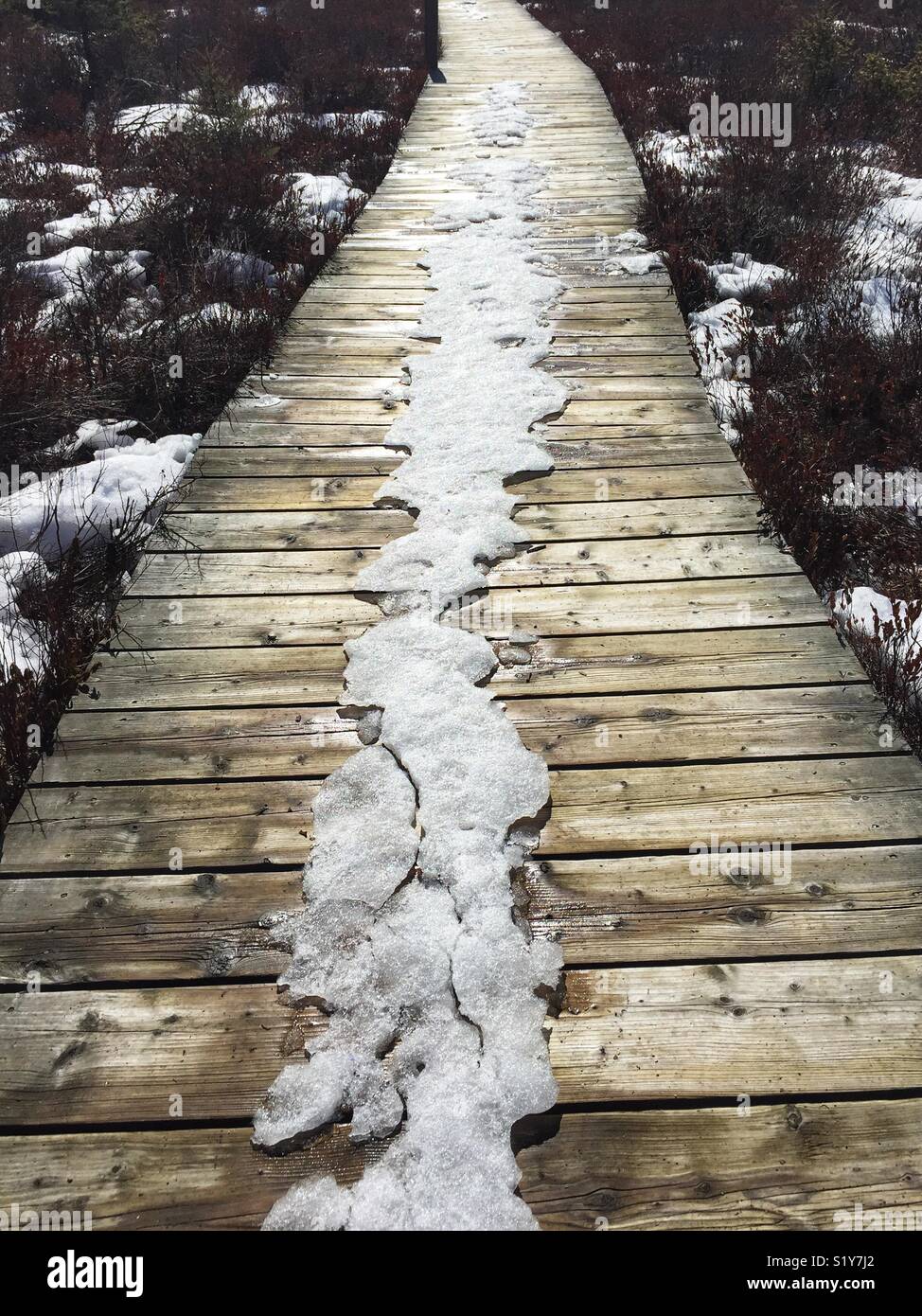 Boardwalk path hi-res stock photography and images - Alamy