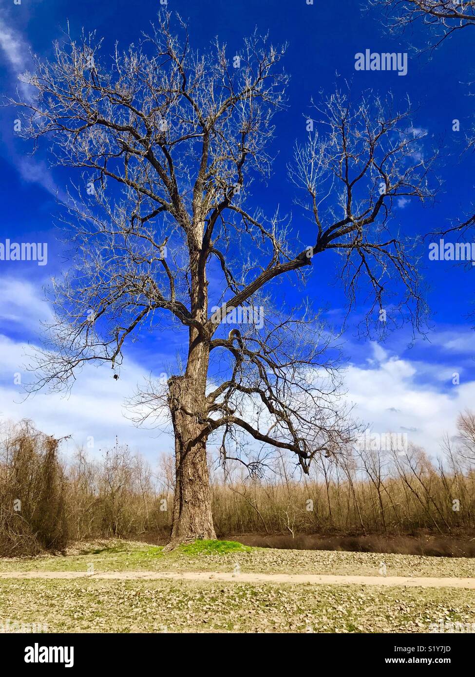 Wicked blue hi-res stock photography and images - Alamy