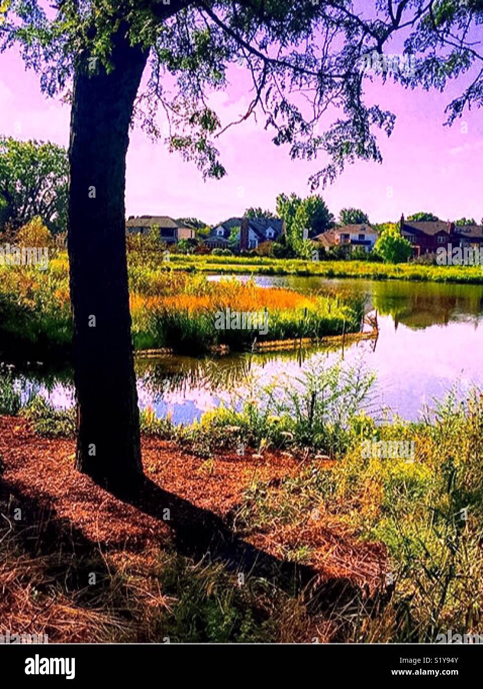 Sate Of Illinois Scenery