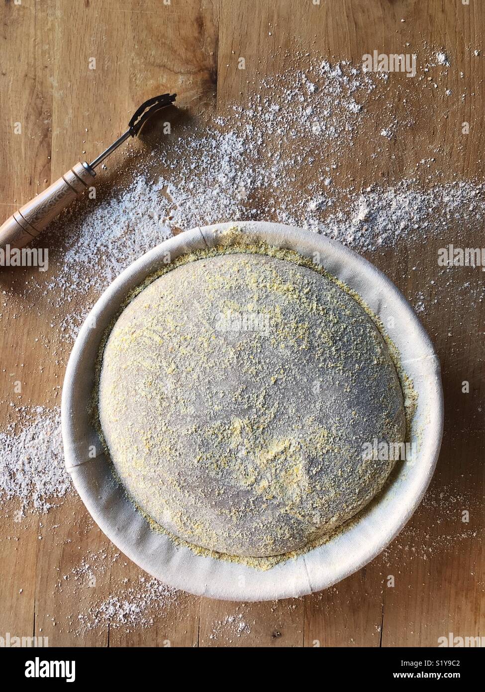 The bottom of a bread loaf dusted with corn meal before being scored ...