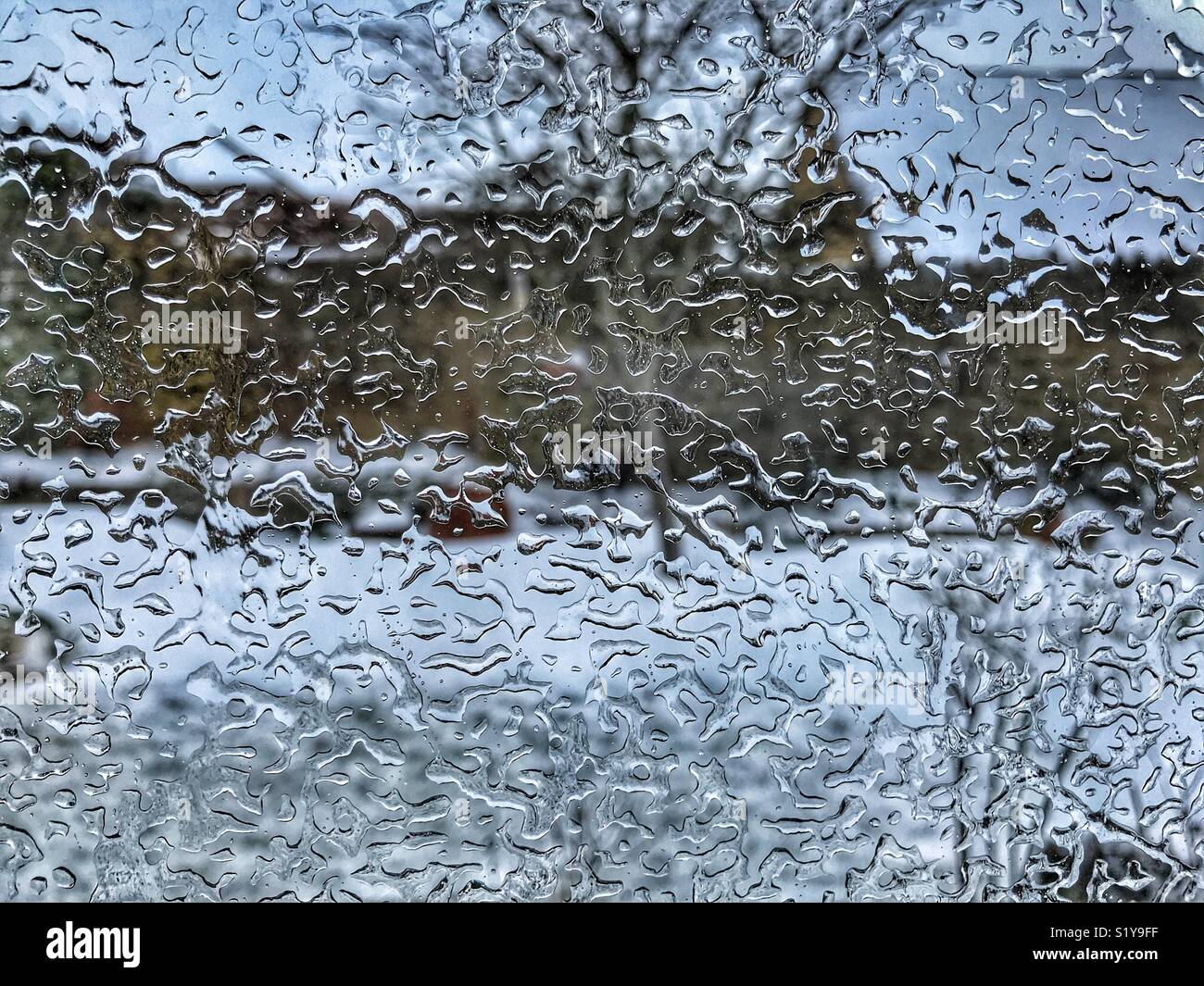 Freezing Rain Falling
