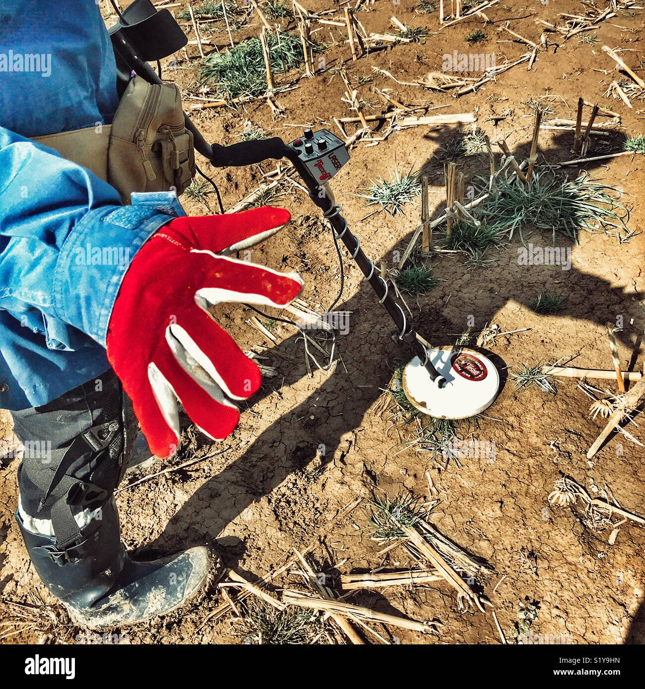 Metal detecting stubble field hi-res stock photography and images - Alamy