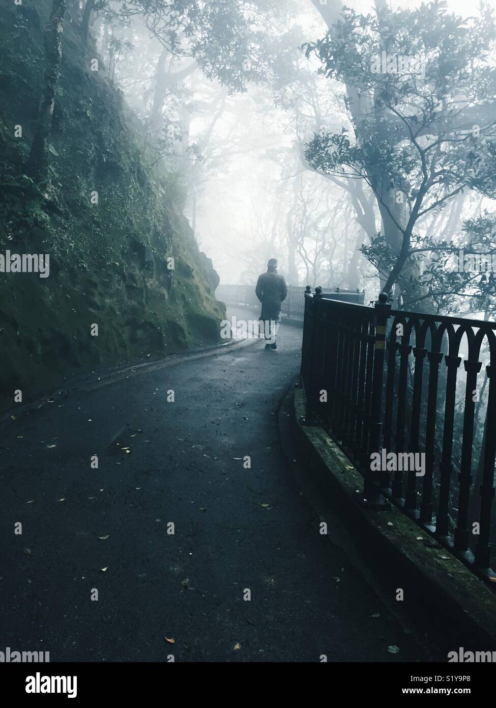 Man walking into the mist deep in thought in the woods Stock Photo - Alamy