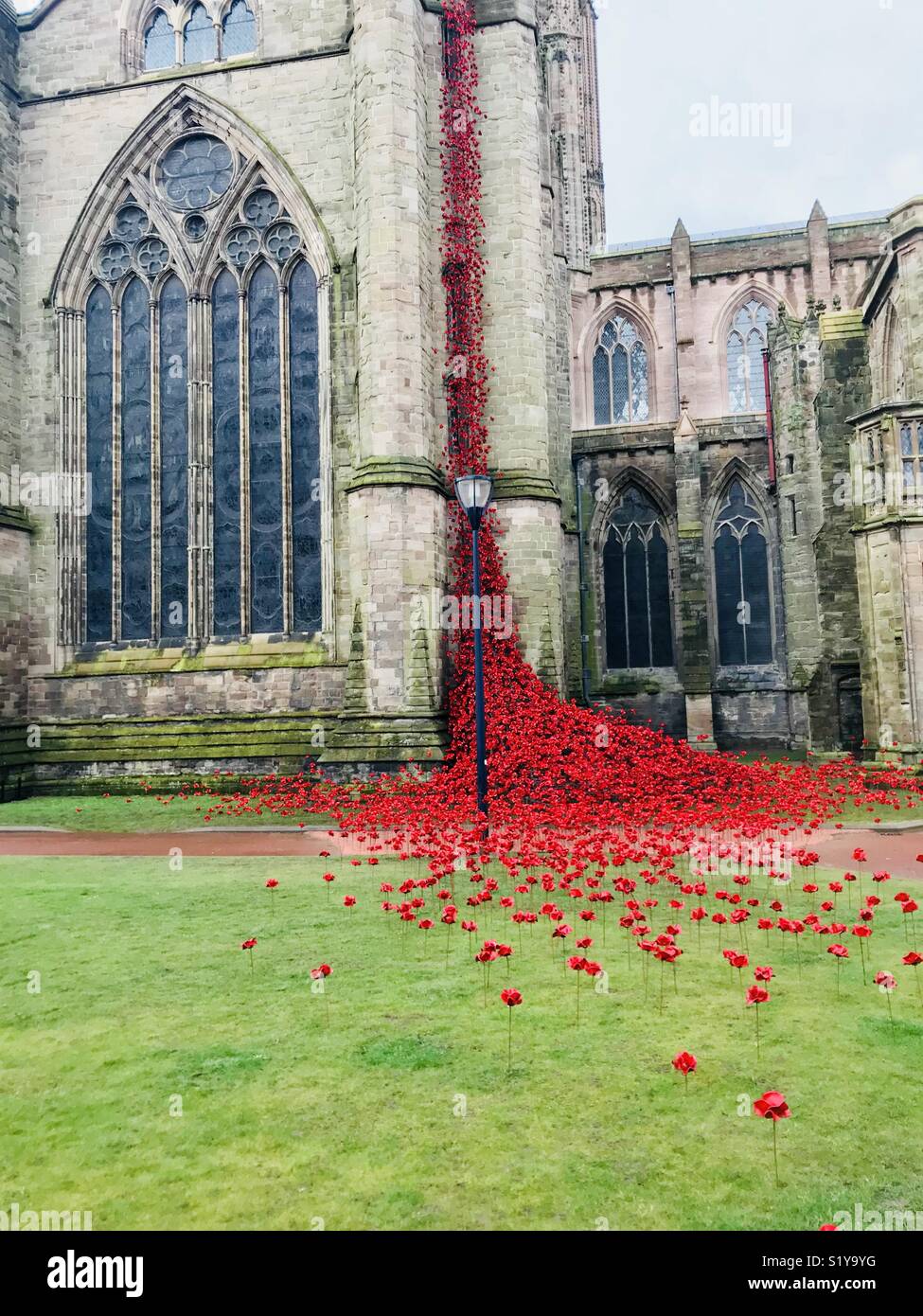 Weeping windows hi-res stock photography and images - Alamy