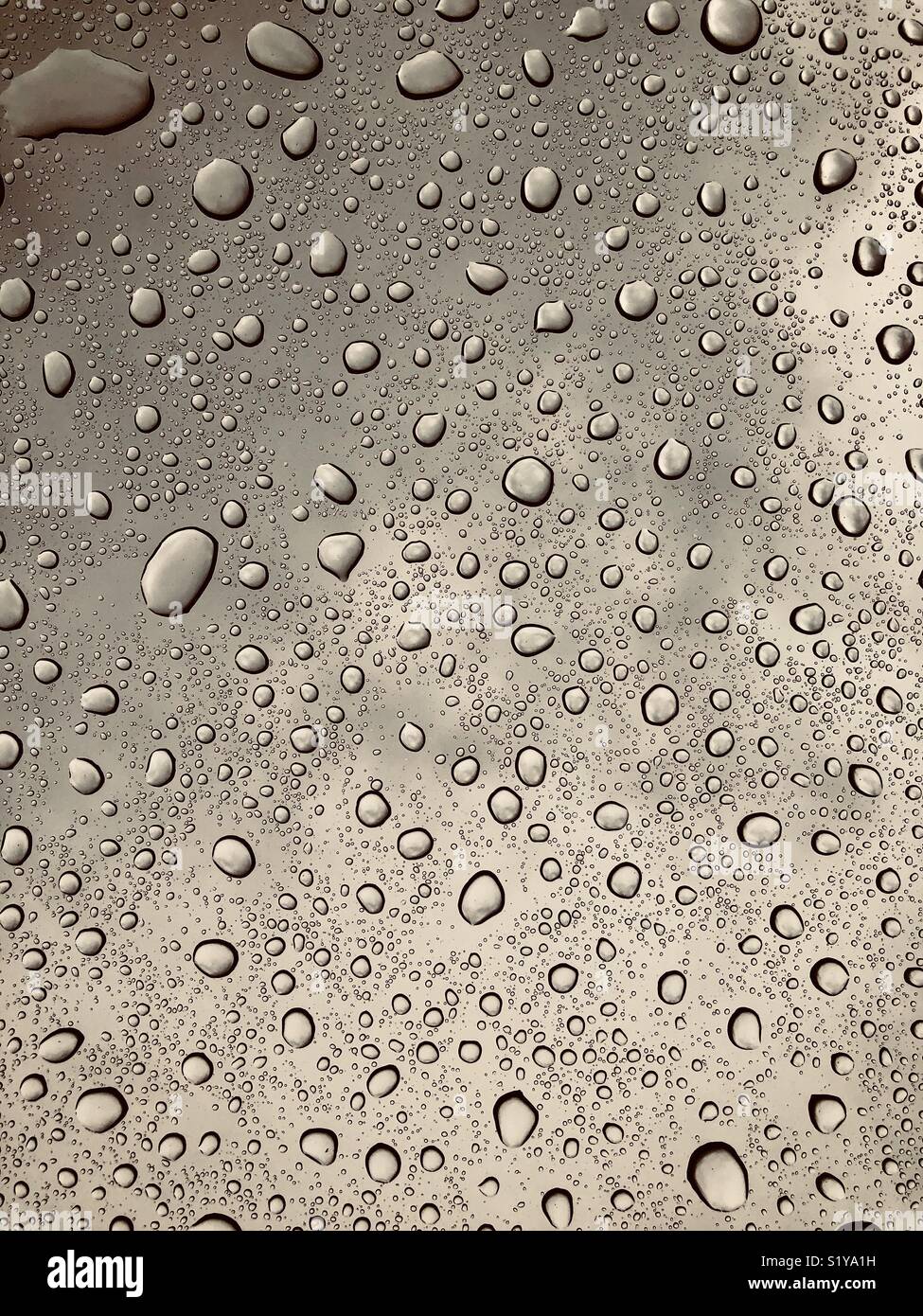 Water droplets on a clear window Stock Photo - Alamy