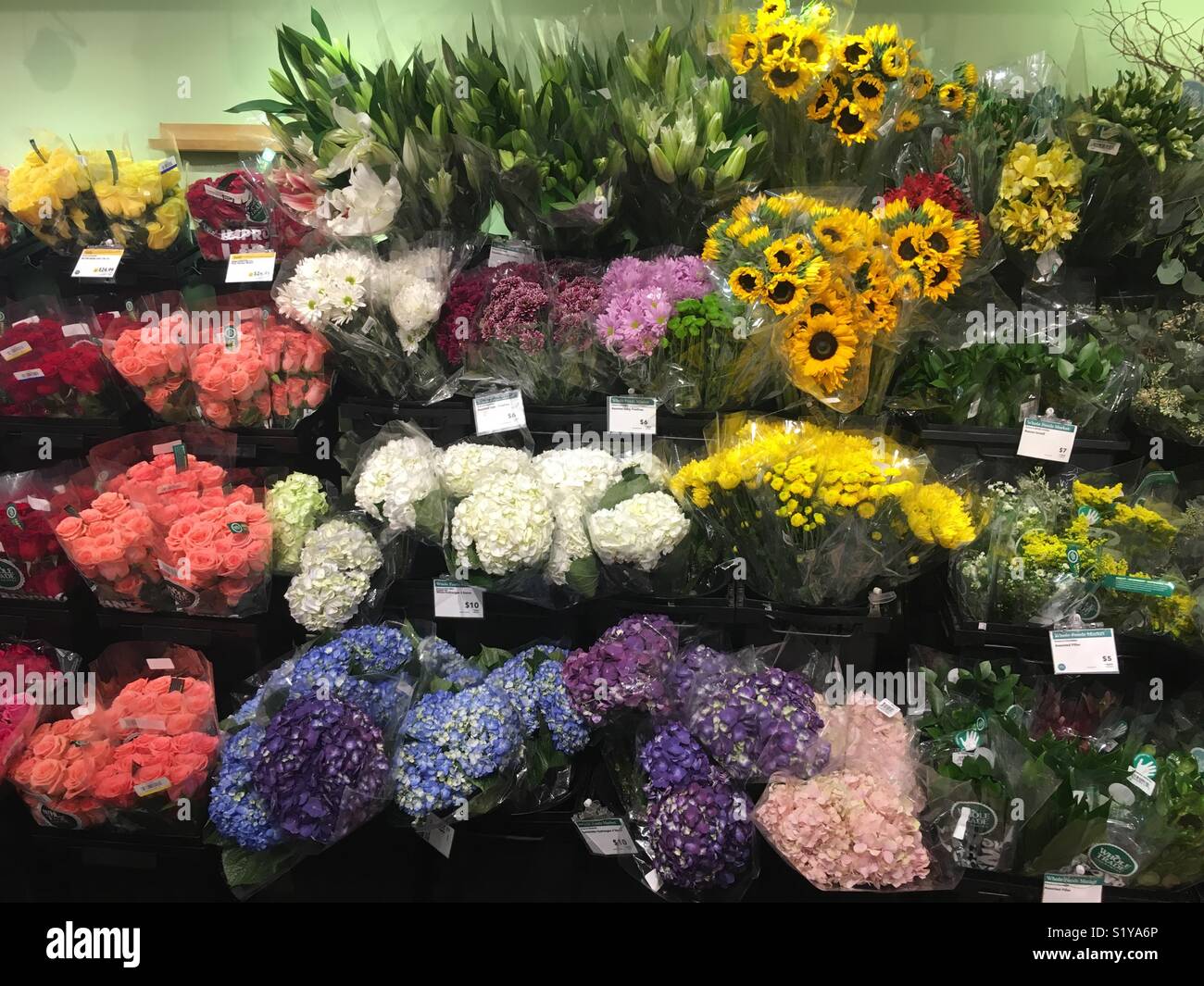 Flowers for Sale Stock Photo - Alamy