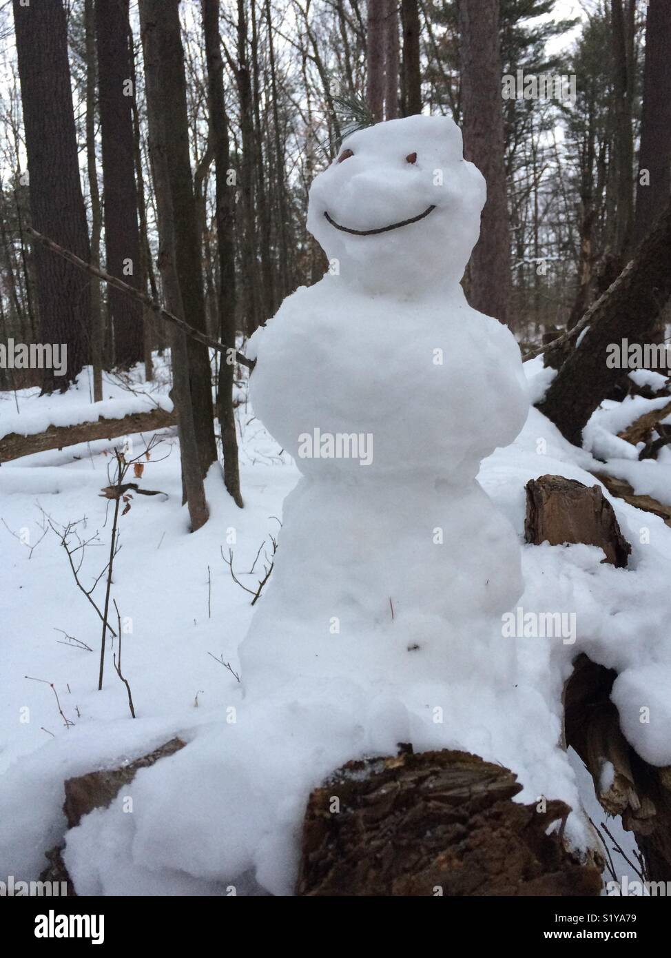 Snowman in the forest Stock Photo - Alamy